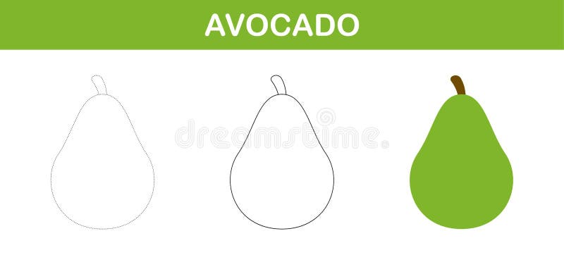 Avocado Tracing and Coloring Worksheet for Kids Stock Vector ...