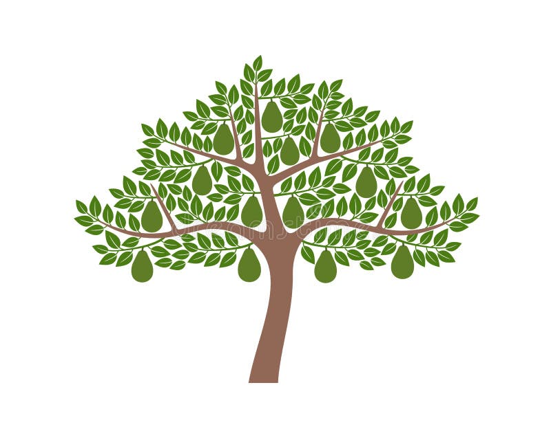 Avocado Tree Logo. Isolated Avocado Tree on White Background Stock ...