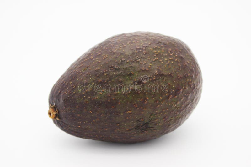 Avocado on White Background Stock Photo - Image of avocado, three ...