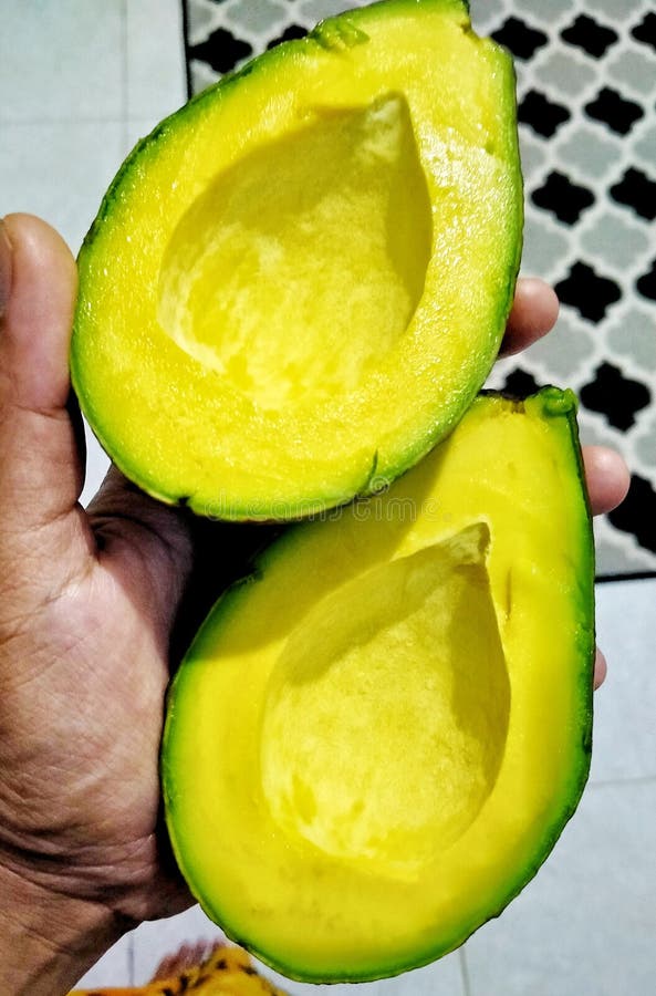 Avocado Yummy Fruit with Yellow Neon Color Stock Image - Image of color ...