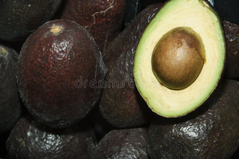 Avocados stock photo. Image of ingredient, skin, mexican - 12779168