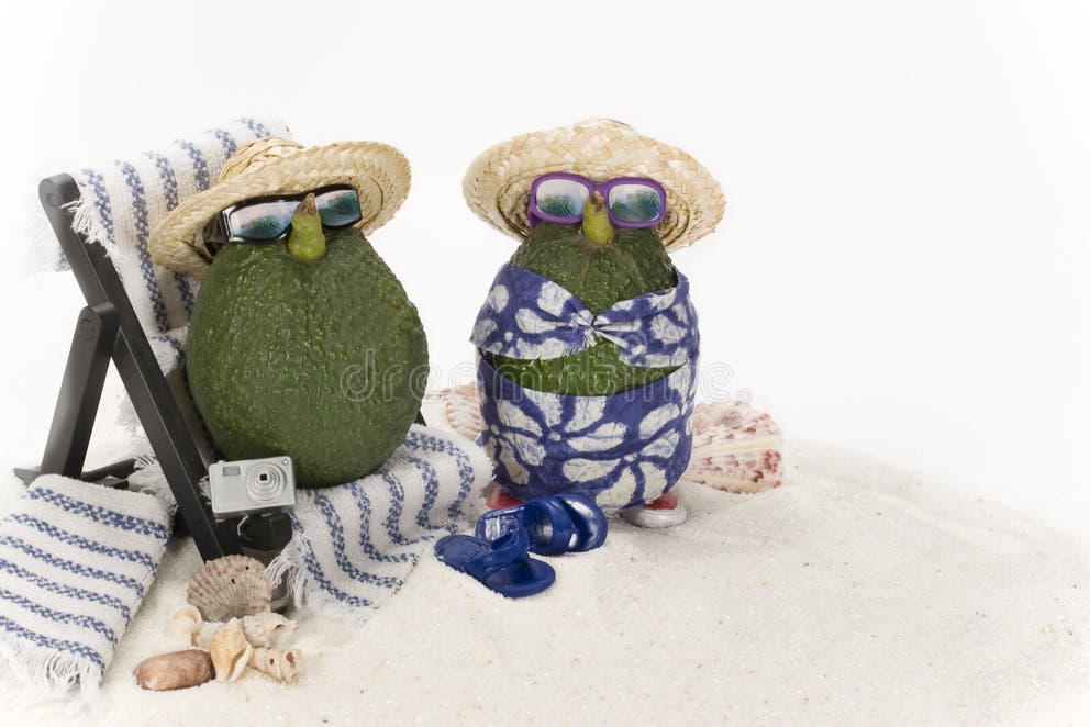 Avocados at Beach stock photo. Image of shells, humorous - 14190924