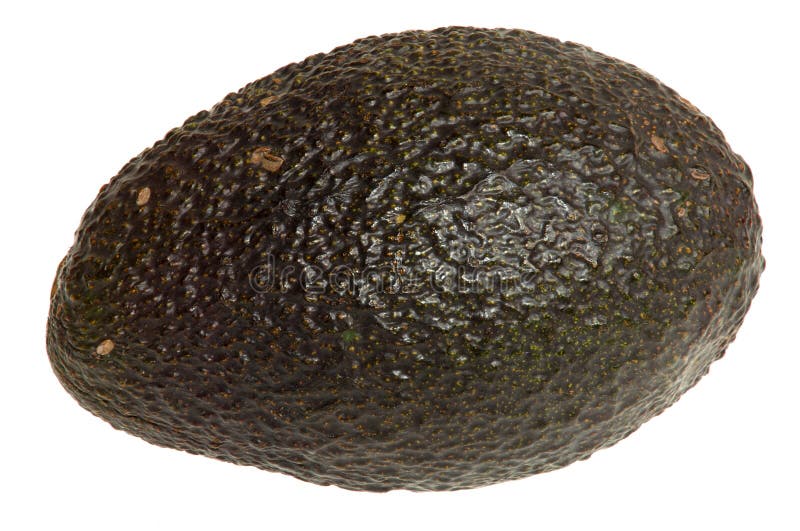 Avocat entier photo stock. Image du entier, avocat - 18293406