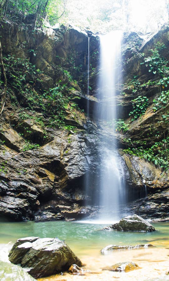 Avocat Waterfall stock photo. Image of landscaping, waterbackground ...