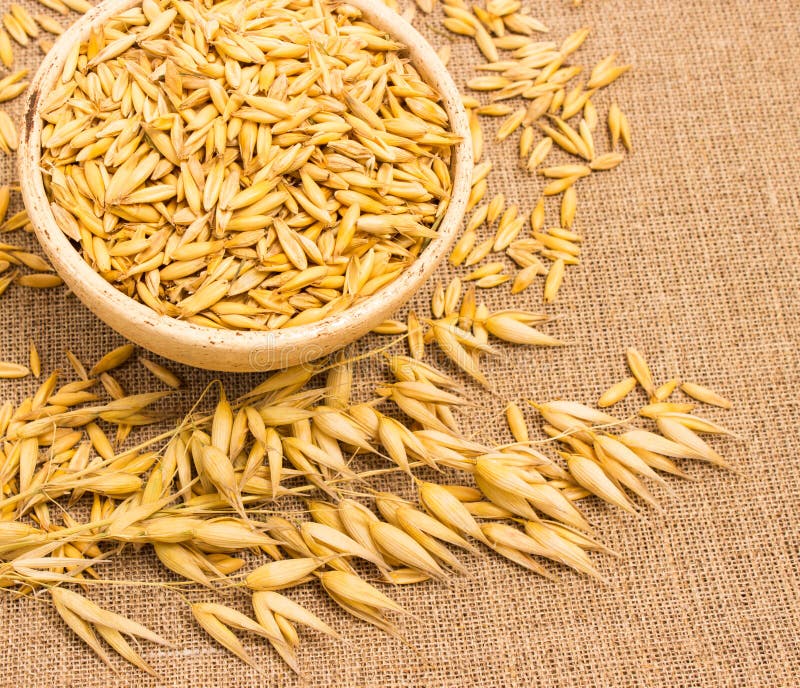 Avoine Et Farine D'avoine De Grain Sur La Toile Image stock - Image du ...