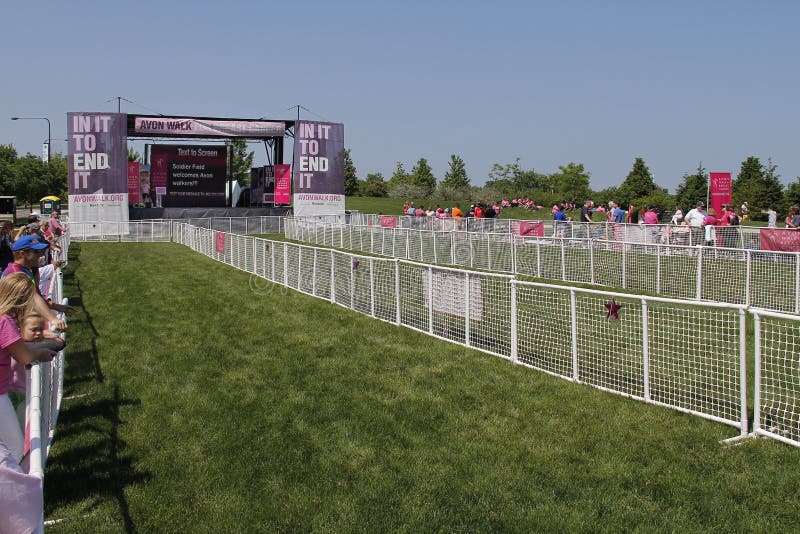 Chicago Avon Walk Participants with Arms Up Editorial Stock Image ...
