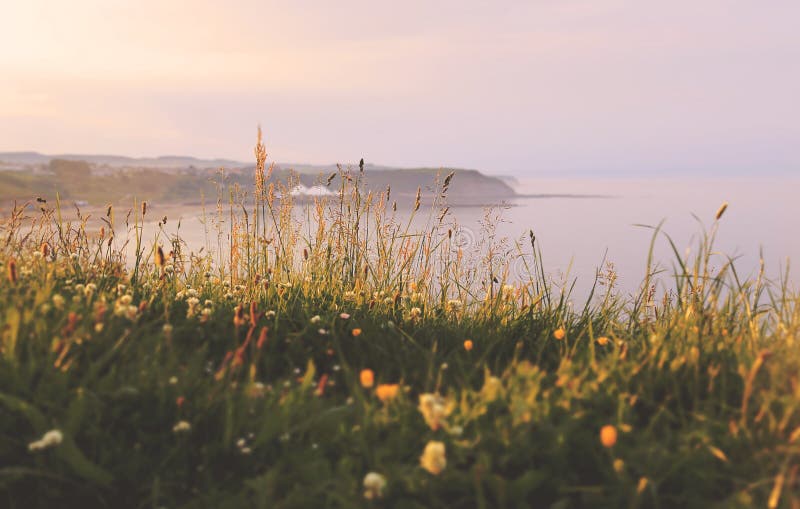 Avondzon stock foto. Image of zonsondergang, landschap - 45261424