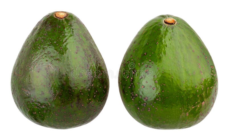 Avozilla avocado stock photo. Image of huge, antioxidant - 151427754