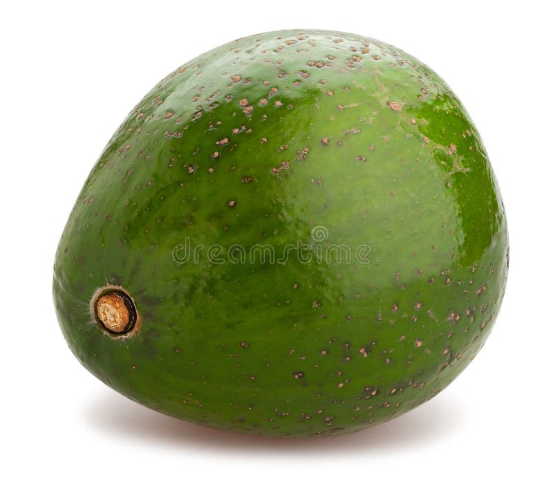 Avozilla avocado stock photo. Image of vivid, avocados - 151427678