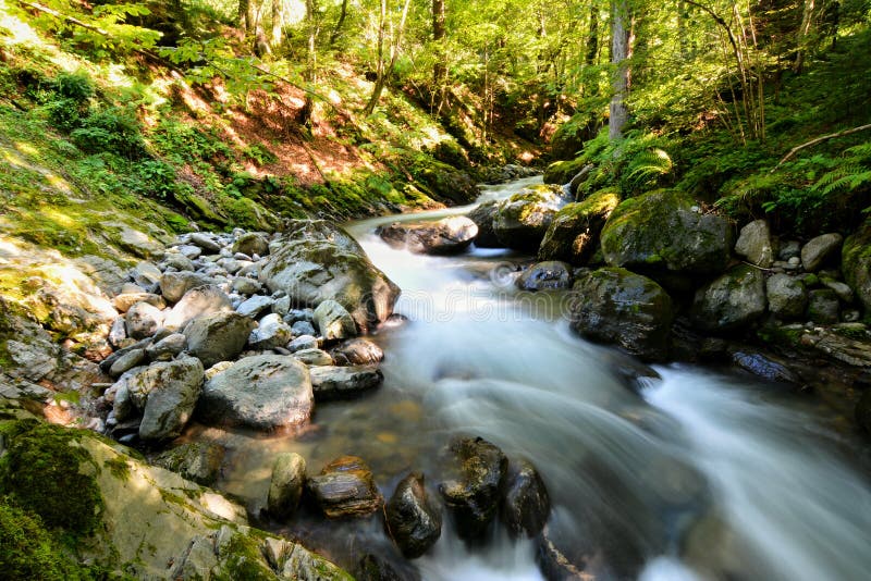 Avrig river stock image. Image of river, water, nature - 75775417