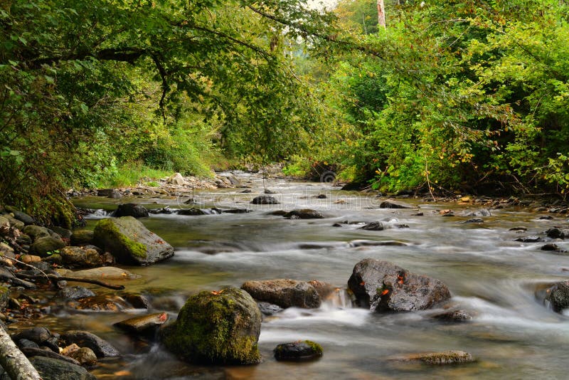 Avrig river through forest stock image. Image of romania - 75775411
