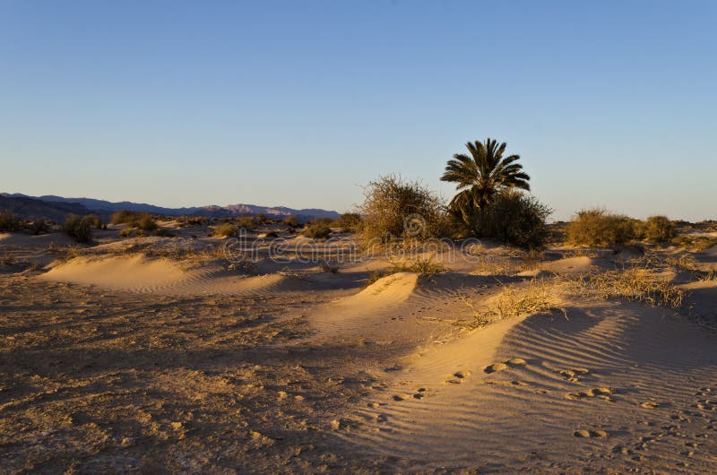 Valley of Avrona Nature Reserve, Eilat, Israel Stock Image - Image of ...