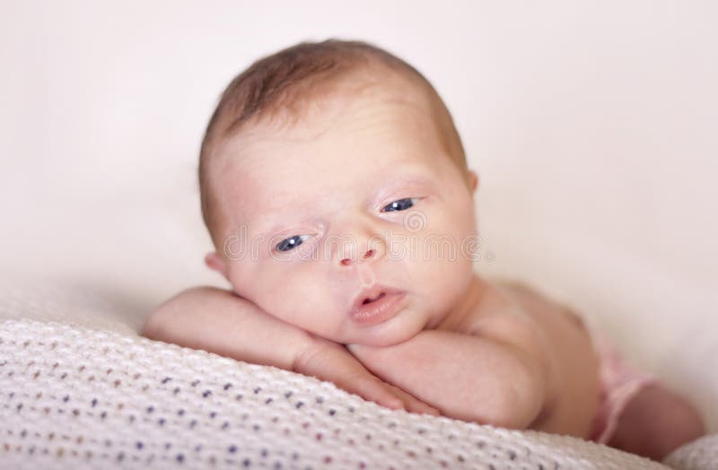 Awake newborn stock image. Image of newborn, cute, baby - 20126155