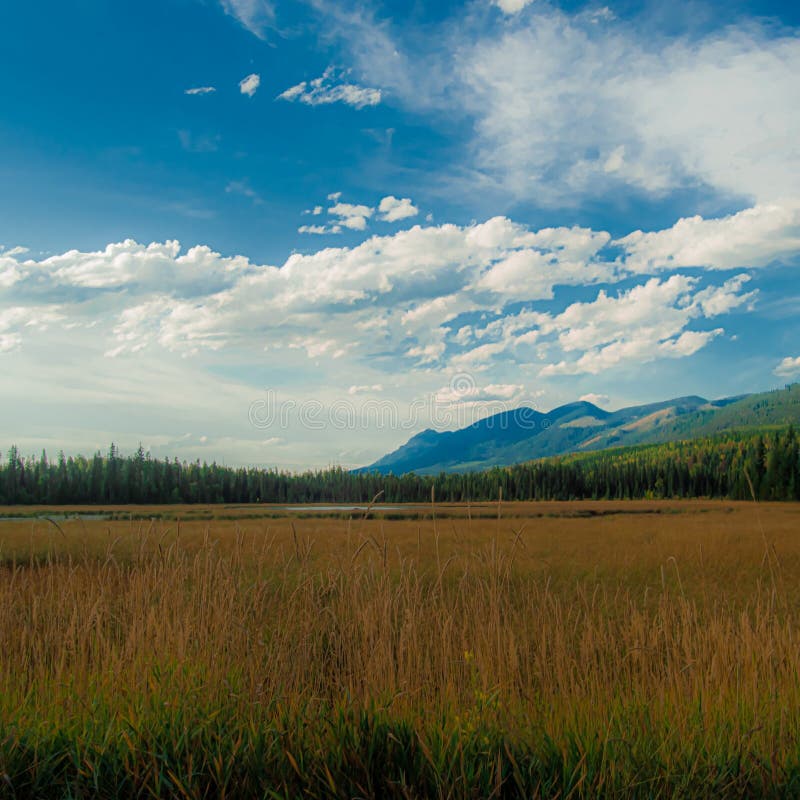The Awakening Valley of Life Stock Photo - Image of mountain, horizon ...
