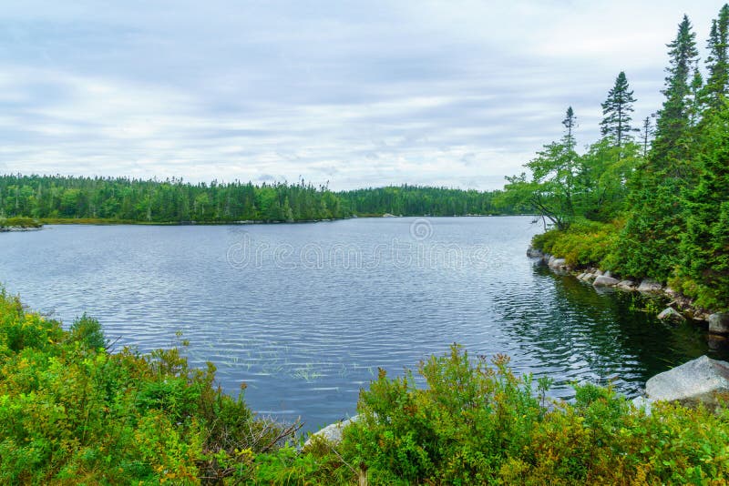 Awalt Lake Stock Photos - Free & Royalty-Free Stock Photos from Dreamstime