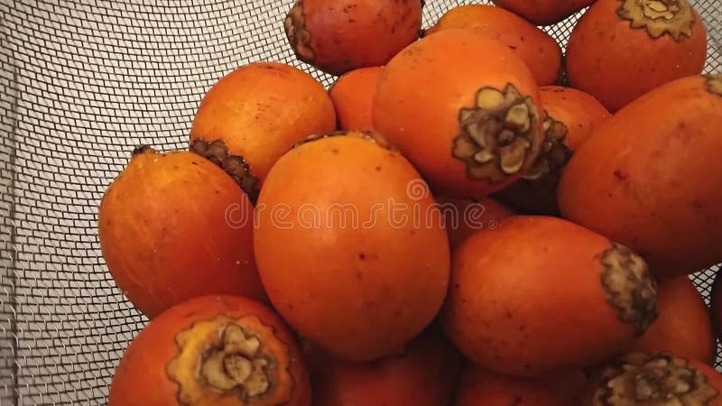 Awara Fruit Rotating Up Close Top View Stock Footage - Video of round ...