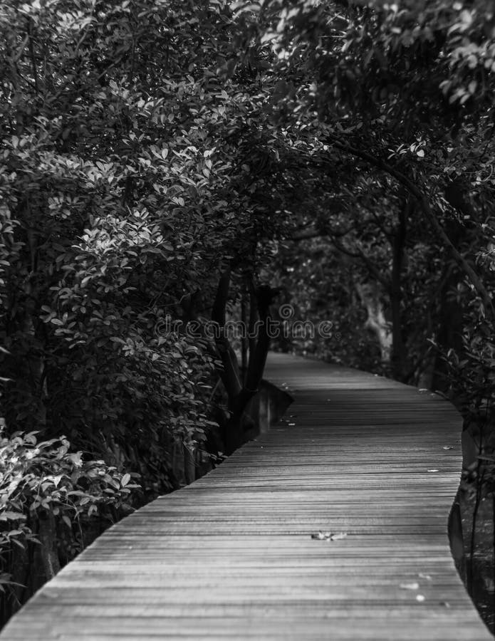 1,906 Bw Background Nature Stock Photos - Free & Royalty-Free Stock ...