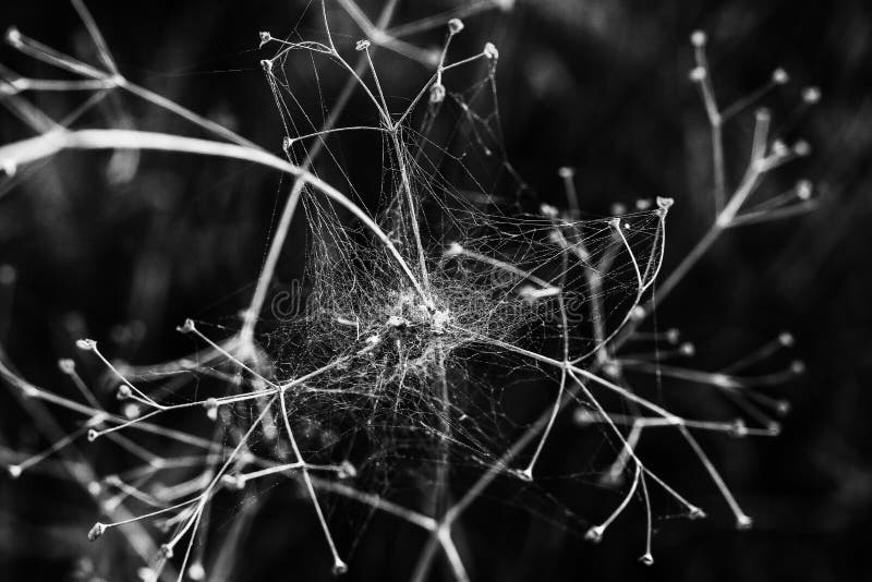 An Awesome Abstract Background of Interesting Texture Stock Image ...