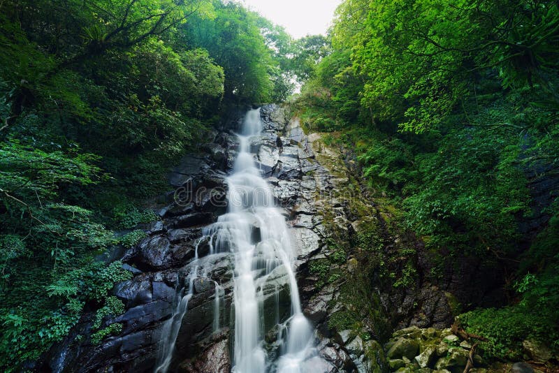 The Awesome and Beautiful Waterfall Splashed on the Rock Wall Stock ...