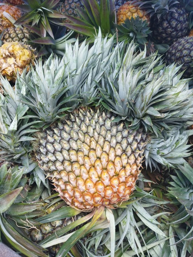 Awesome Fruit Super Pineapple Stock Photo - Image of fruit, pineapple: 289083750