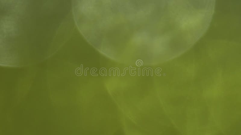 Awesome 4k Yellow Loopable Background. Light Leaks Pulses in the Dark ...