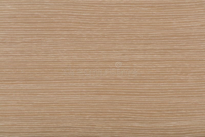Awesome Veneer Texture in Gentle Light Colours. Stock Image - Image of ...