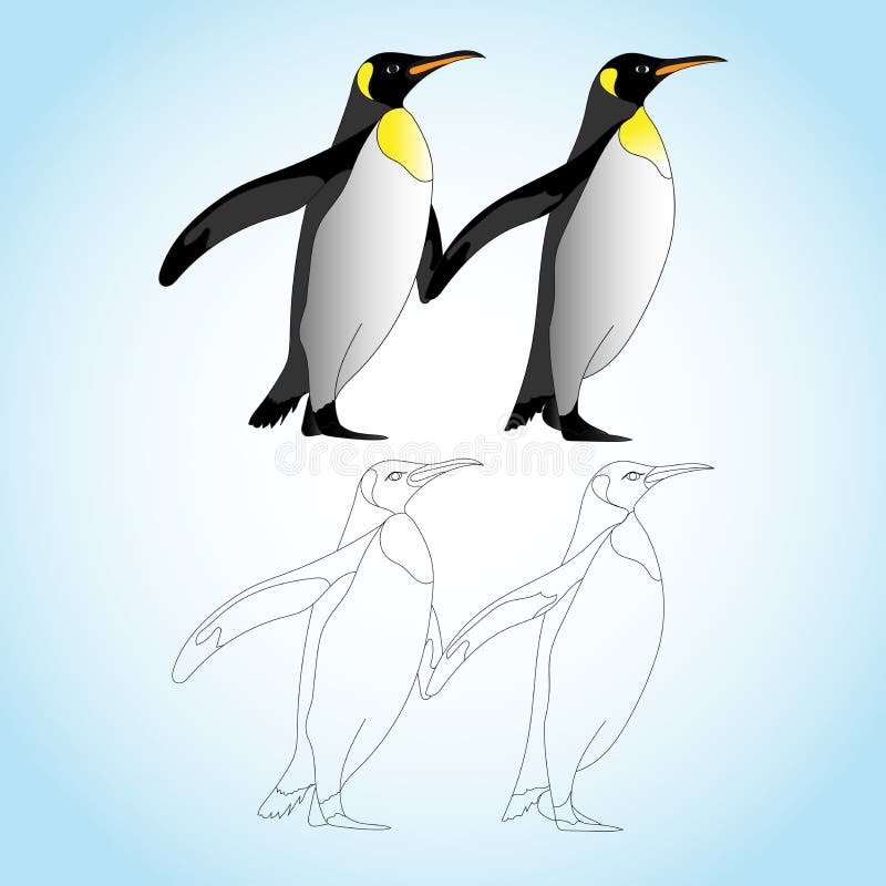 Awesome Penguin Picture