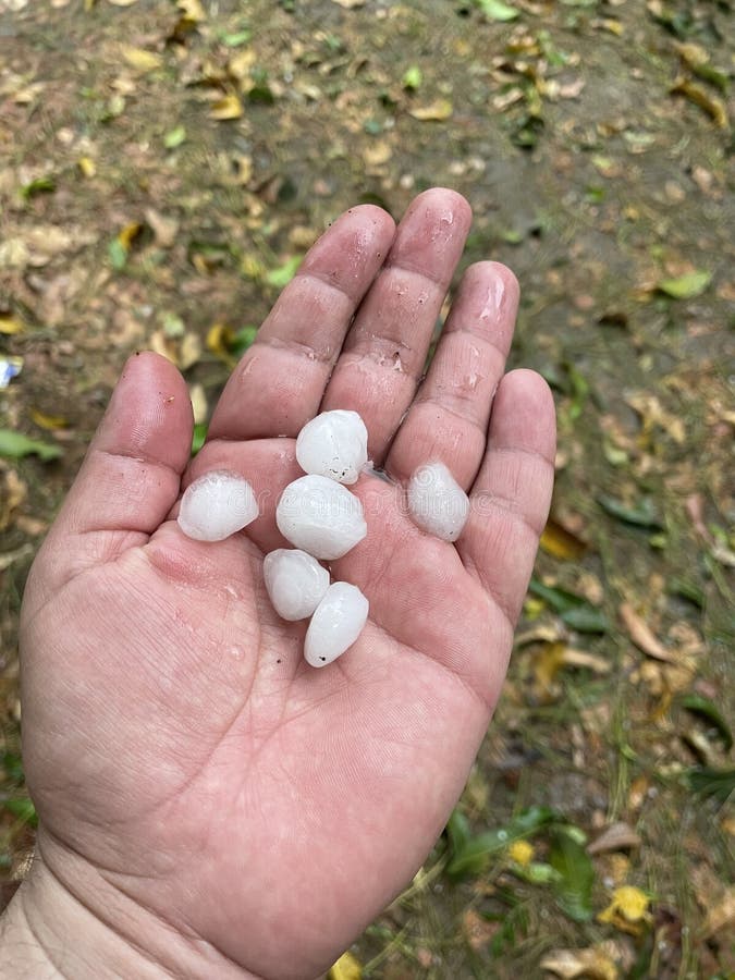 An awesome shot of sleet stock image. Image of climate - 376829839