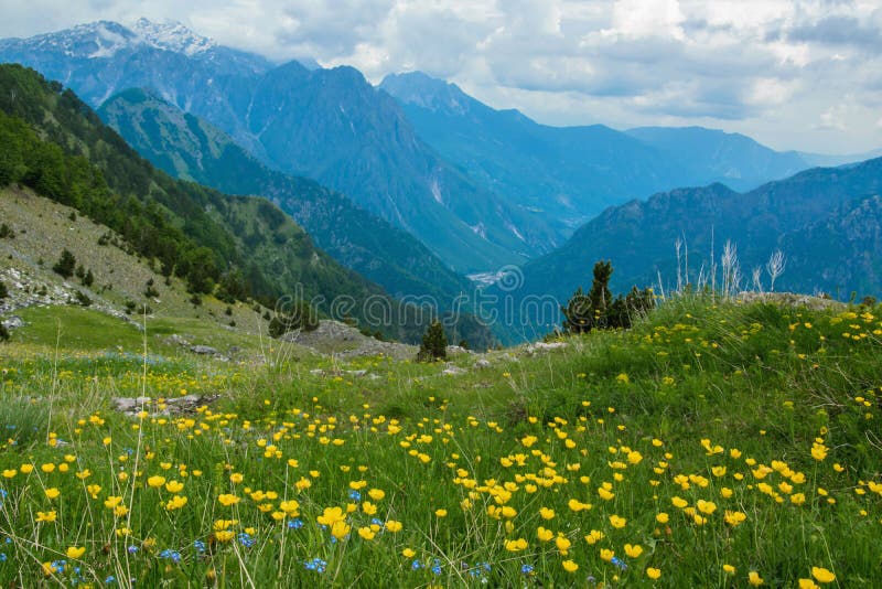 Awesome Spring View of Alps Mountains Stock Photo - Image of grass ...