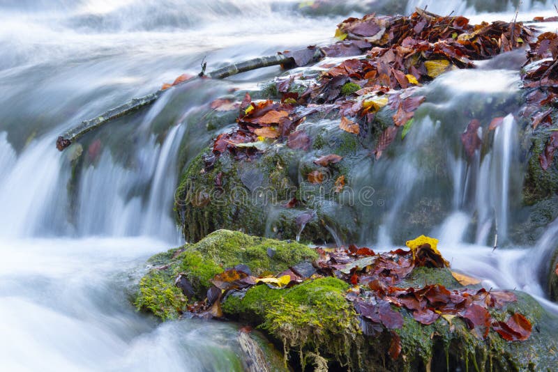 Stream Moss, Silk Effect stock image. Image of forest - 131200259