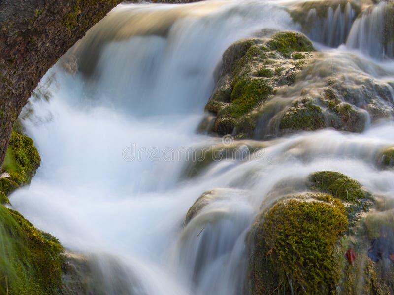 Stream Moss, Silk Effect stock photo. Image of clean - 131200288