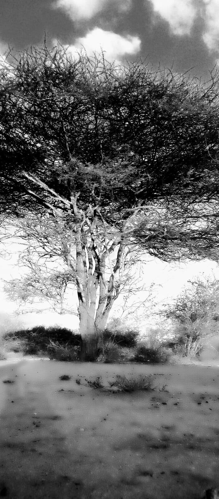 105,741 Wallpapers Skirk Stock Photos - Free & Royalty-Free Stock ...