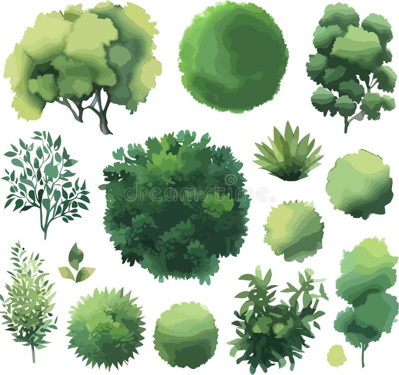 Awesome Trees Bushes Shrubs Top View Vector Stock Vector - Illustration ...