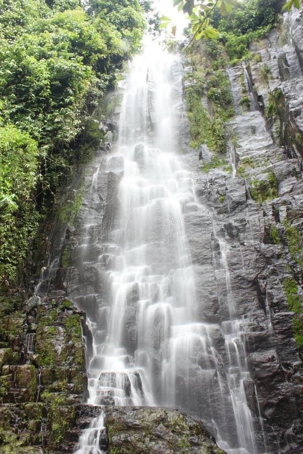 Awesome Waterfall Founded in the Rainforest Stock Image - Image of rock ...