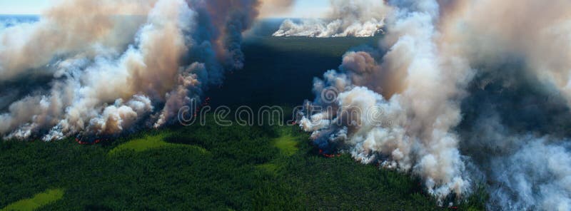 Forest fire, top view stock image. Image of country - 114951225