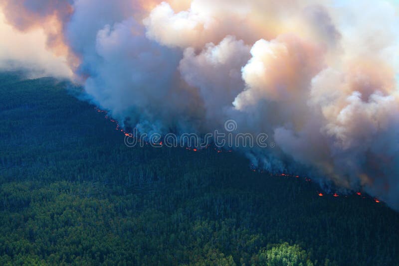 Forest fire, top view stock image. Image of heat, ground - 114952673