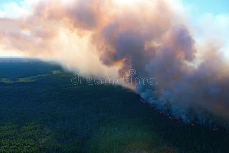 Forest fire, top view stock photo. Image of forest, destruction - 114952674