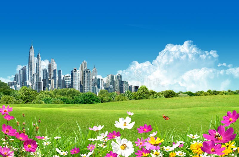 Awn and city stock photo. Image of grass, center, meadow - 14180576