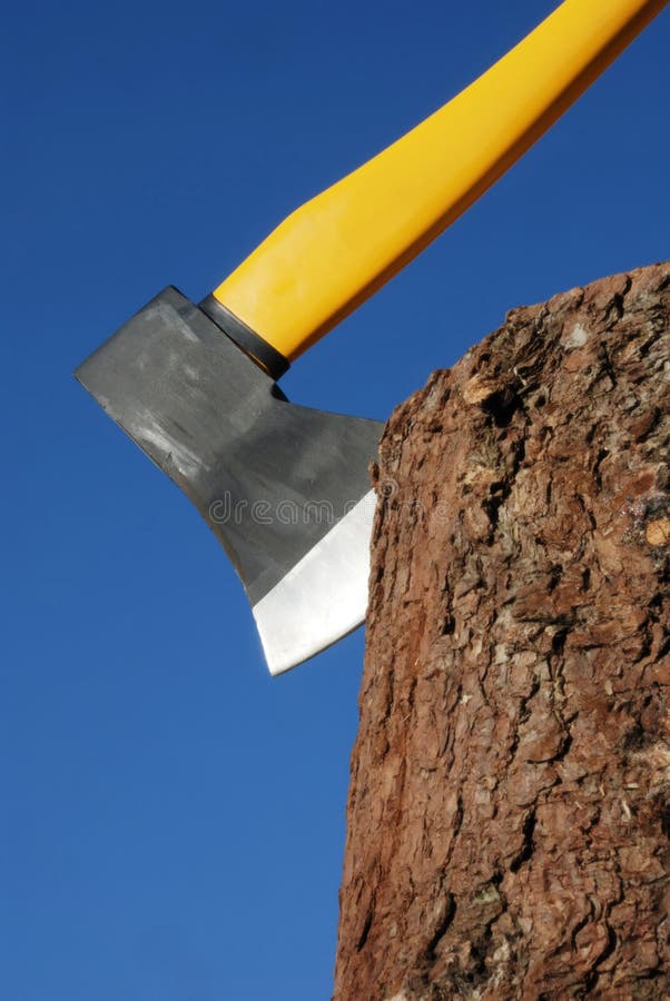 Ax stock photo. Image of cutting, tree, chop, space, forest - 5018548