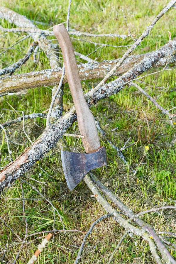 Ax and Branches of Old Trees Stock Photo - Image of hatchet, heavy ...