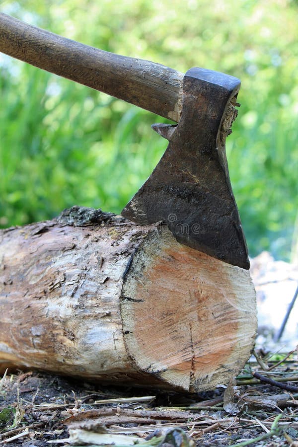 Ax in a Log on the Background of Green Grass Stock Photo - Image of ...