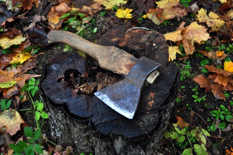 Ax stock photo. Image of work, yellow, felled, wood, leaves - 64513504