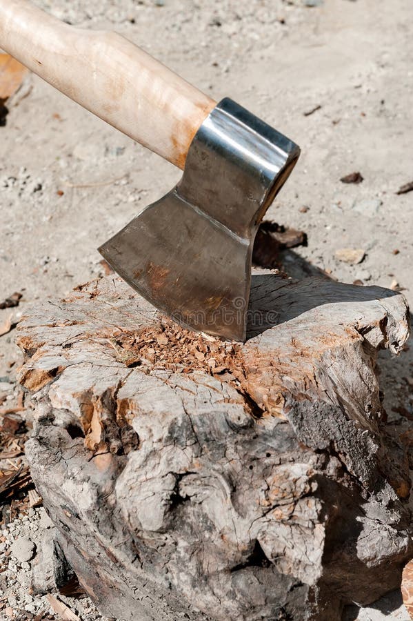 The ax in the pine log. stock photo. Image of carpenter - 91097796