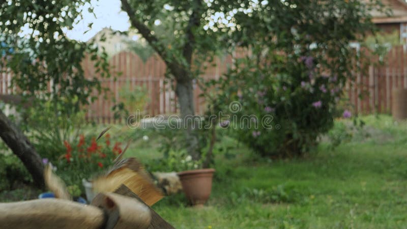 An Ax Splits a Log into Splinters in the Yard Stock Video - Video of ...