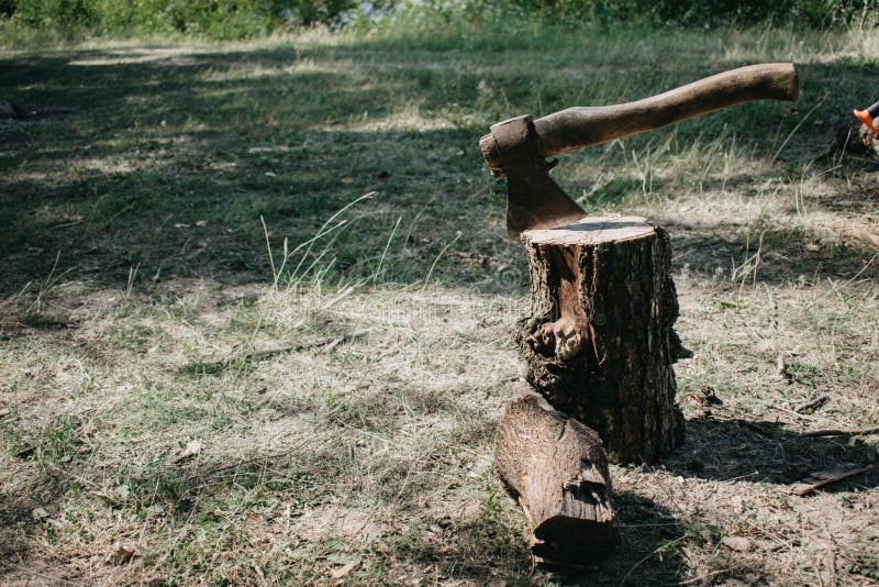 The Ax is Stabbed with a Blade into the Stump. Axe for Removing Tree ...