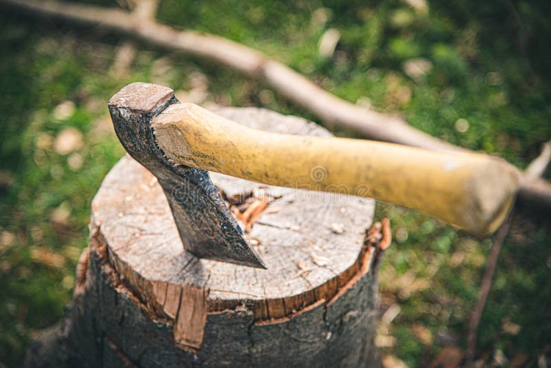 An Ax Sticking Out in a Tree Stump Stock Image - Image of blade, timber ...