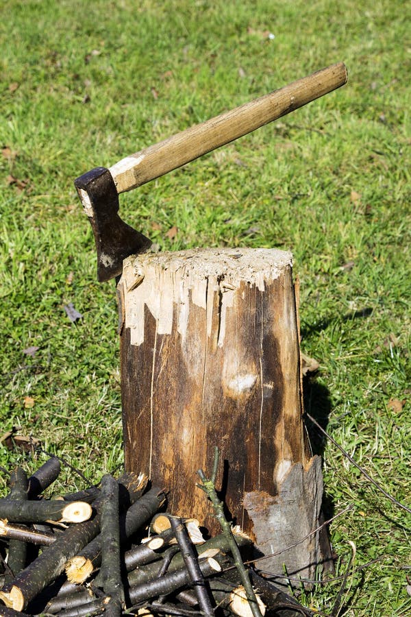 Ax stuck in a log stock photo. Image of stump, fuel, rusty - 67408776