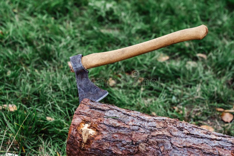 An Ax Stuck in a Sawn Tree. Wood Processing with Hand Tools Stock Photo ...