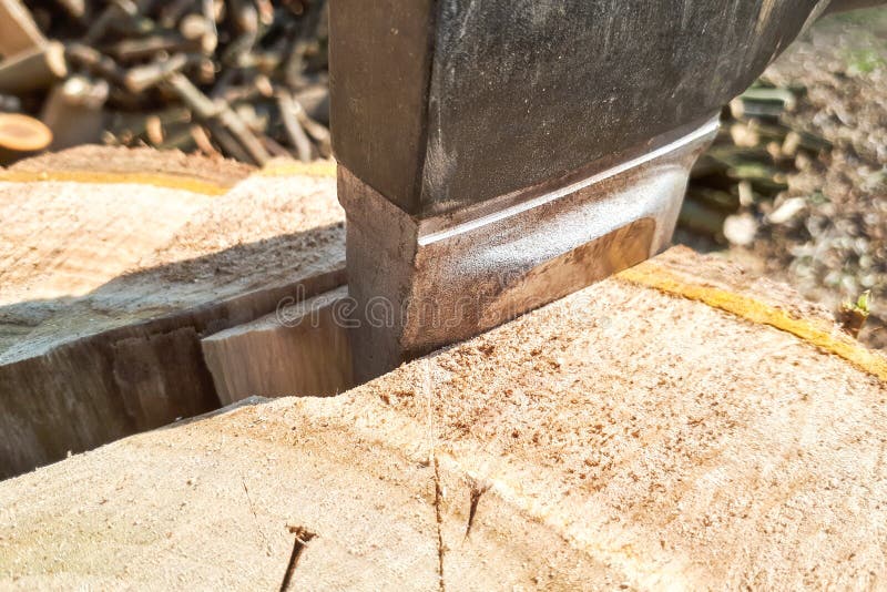 Ax Stuck in a Splintered Tree Stock Photo - Image of timmber, wood ...