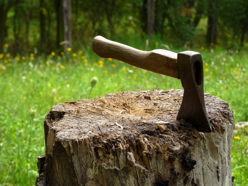An ax stock photo. Image of chopping, nature, tool, equipment - 81284296